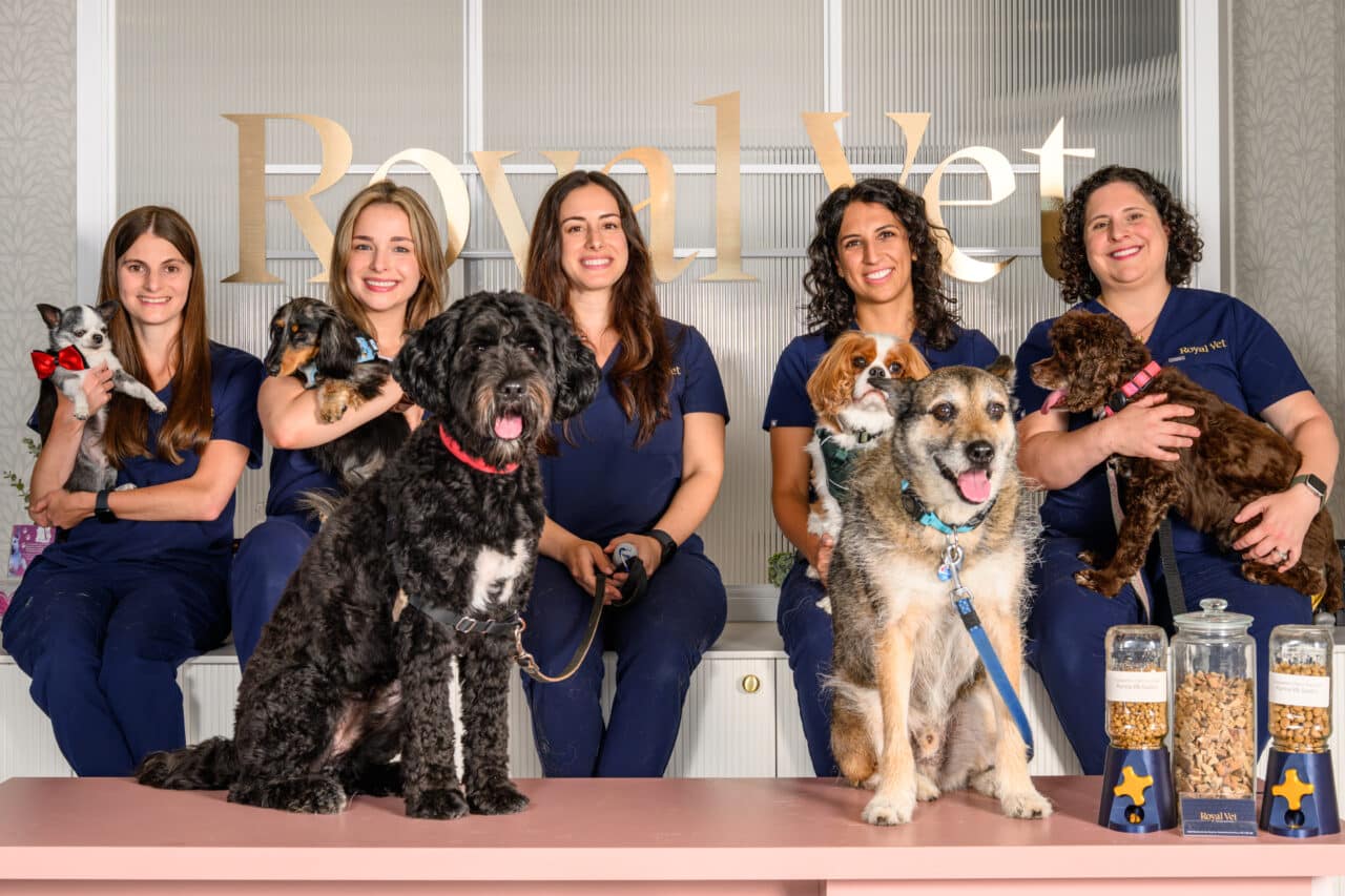 Royal Vet - Veterinary services in West Island - Royal Vet